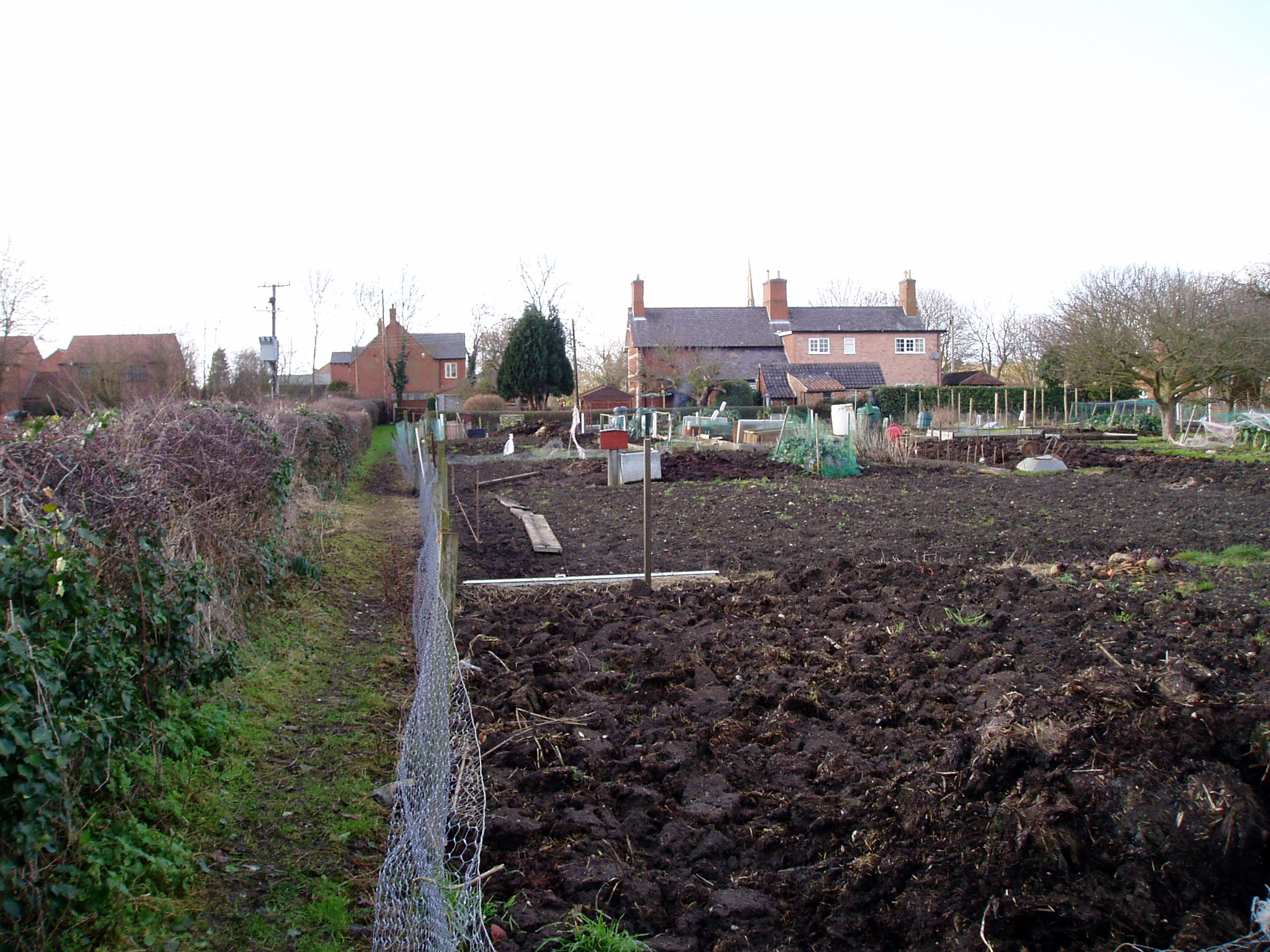 A brief history of Bottesford's allotments | Allotments, Sport, Scouts ...